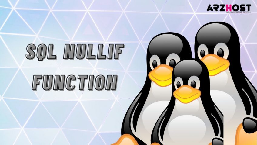 Divide By Zero Error In SQL: Causes And Solutions