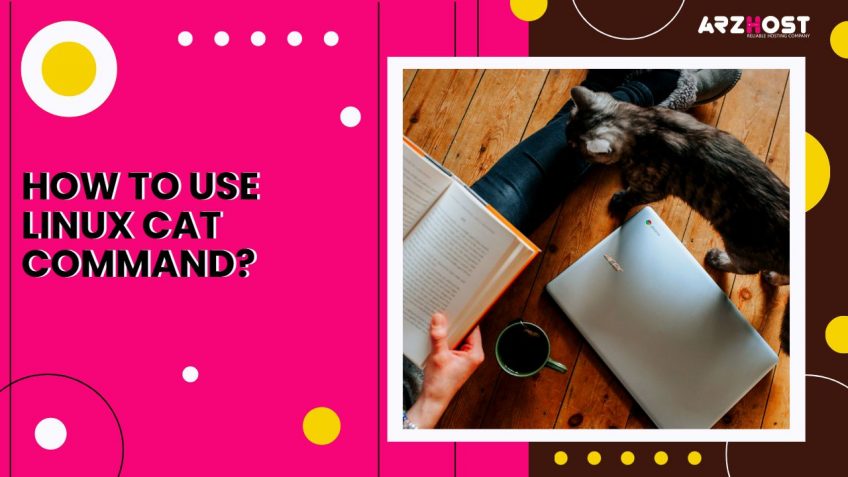 How to Use Linux Cat Command?