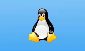 Server Operating Systems: The Complete Guide